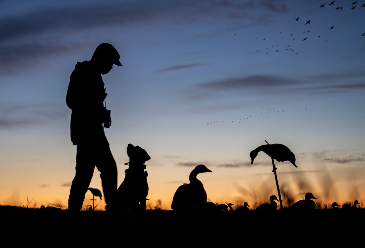 2023 Chêne UnderGround